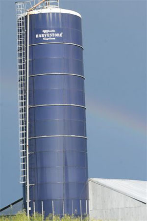 Photos of Blue Silo Pheasants